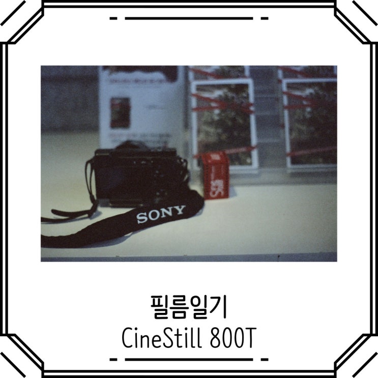 필름 카메라 씨네스틸 800T(CineStill 800T) : 네이버 블로그