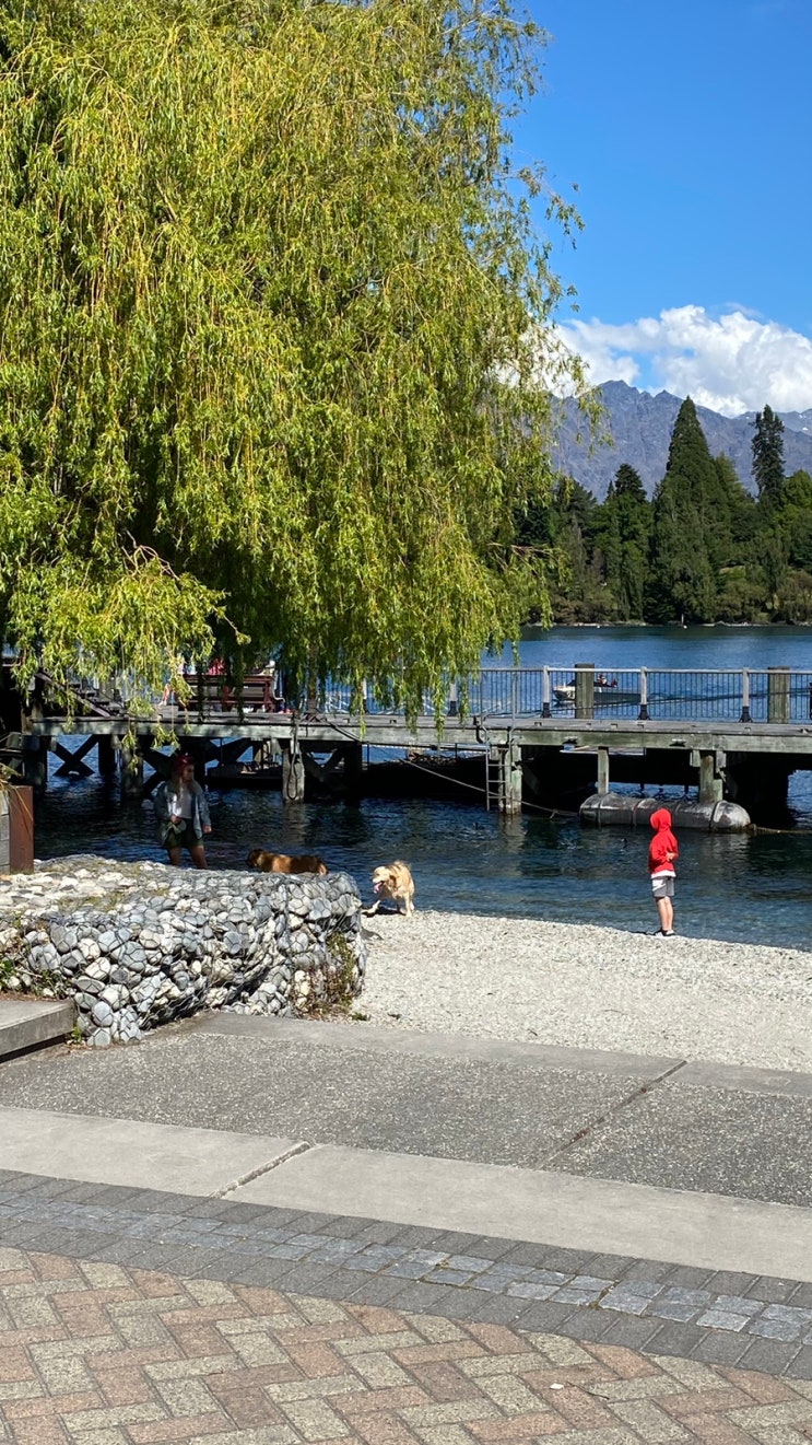 🇳🇿뉴질랜드 여행 | 7박 8일 뉴질랜드 남섬 뚜벅이 여행 루트 추천 숙소 추천 | 1~2일차 : 네이버 블로그