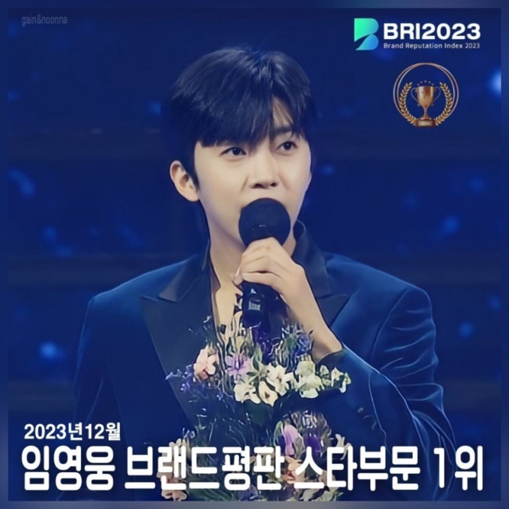 임영웅 12월 브랜드 평판 스타 부문 1위 빛나는 4관왕 네이버 블로그 