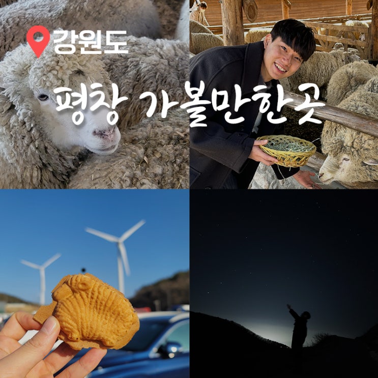 강원도 겨울 여행 코스 2박 3일 여행지 추천 1일차 평창 가볼만한곳 드라이브 네이버 블로그