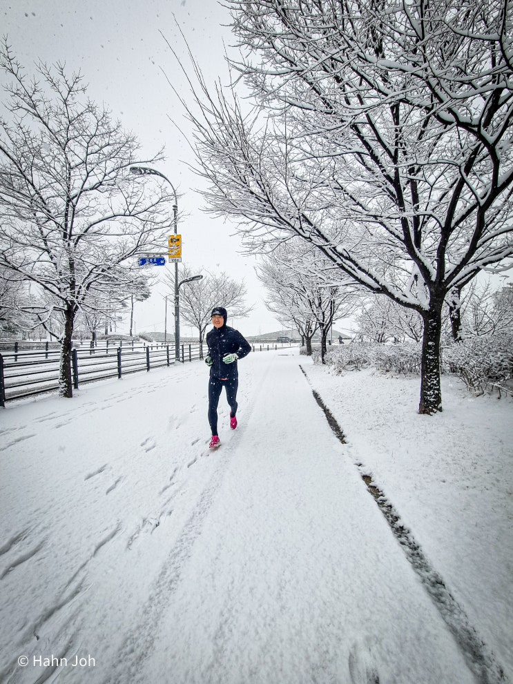 2023년 1745.4km 달렸다. 서울국제마라톤도 완주하고... : 네이버 블로그