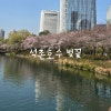 석촌호수 벚꽃 실시간 개화상황 4월 벚꽃구경할만한 곳 네이버 블로그