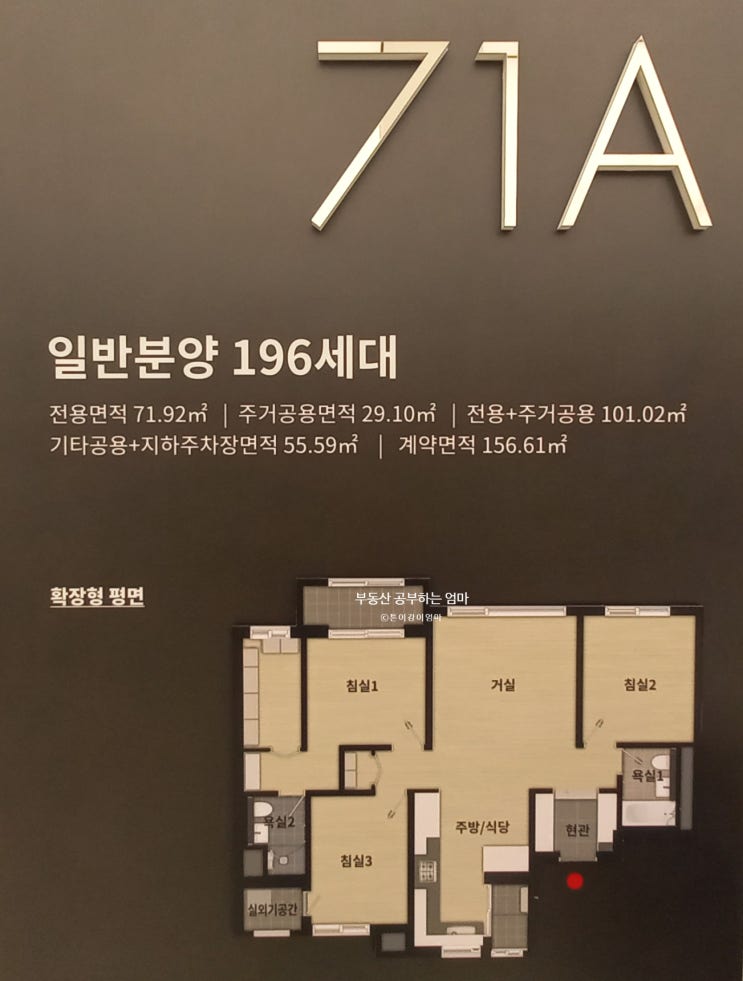 [매교역 팰루시드] 71A타입 면적 및 모하사진 (ft. 수납장 내부) : 네이버 블로그