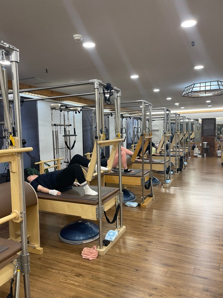 오창바디플러스 우먼필라테스척추의 올바른 자세개선을 위한 필라테스지금이 가장 저렴이벤트 네이버 블로그
