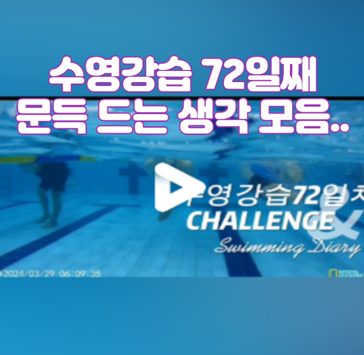 수영강습 9달째 드는 생각feat신기스포렉스 네이버 블로그