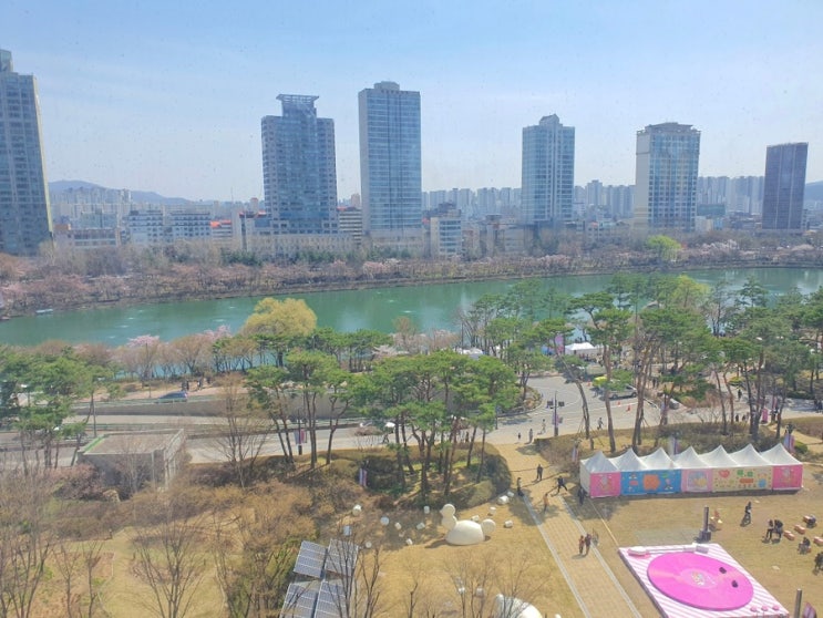 석촌호수 벚꽃 개화 상황 잠실롯데타워 벚꽃뷰 카페20240331 네이버 블로그