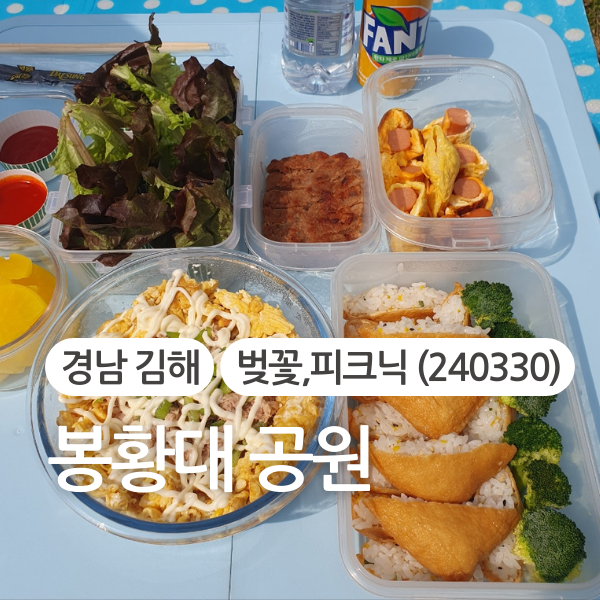 경남 김해 돗자리 펴고 피크닉 하기 너무 좋은 봉황대공원 주차 및 벚꽃 개화 상황240331 토 기준 네이버 블로그