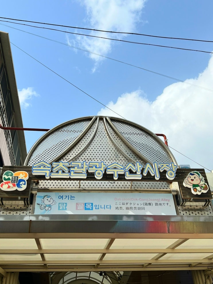 속초 여행 가볼 만한 곳 속초 관광 수산 시장 중앙시장 먹거리 대박 감자전 강원도 막걸리 술빵 웨이팅 티각