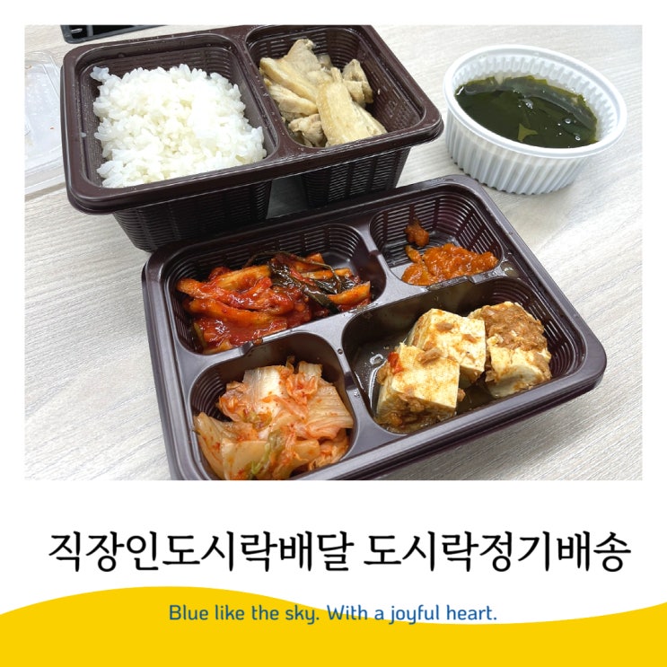 직장인도시락 점심도시락배달 샐러드정기배송 런치랩으로 해결 네이버 블로그