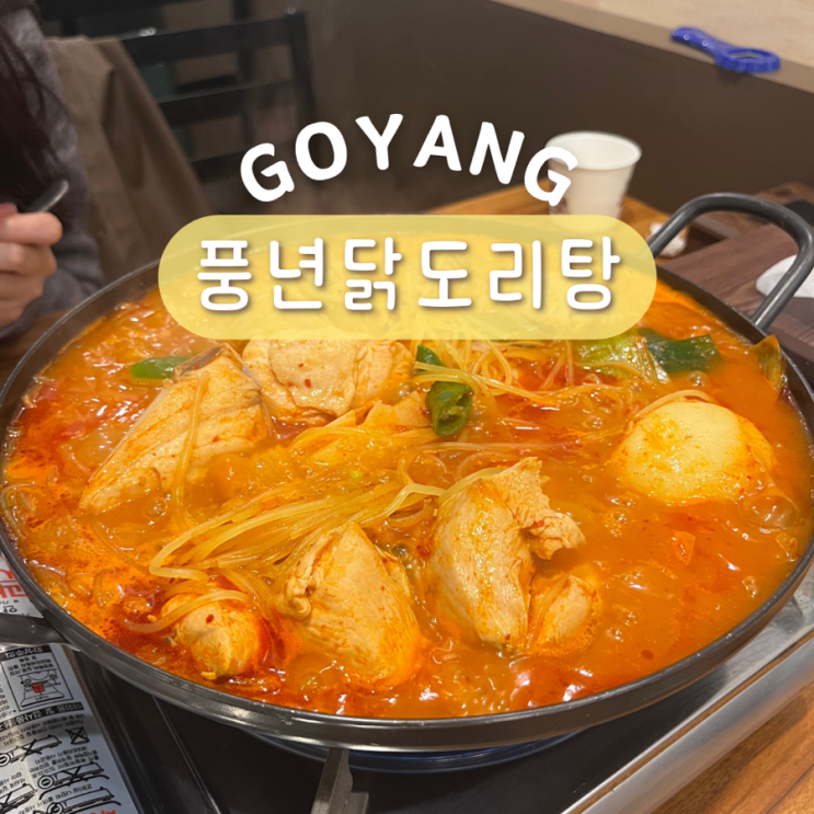 풍년닭도리탕 일산화정점 수요미식회 닭도리탕 덕양구 화정맛집 네이버 블로그