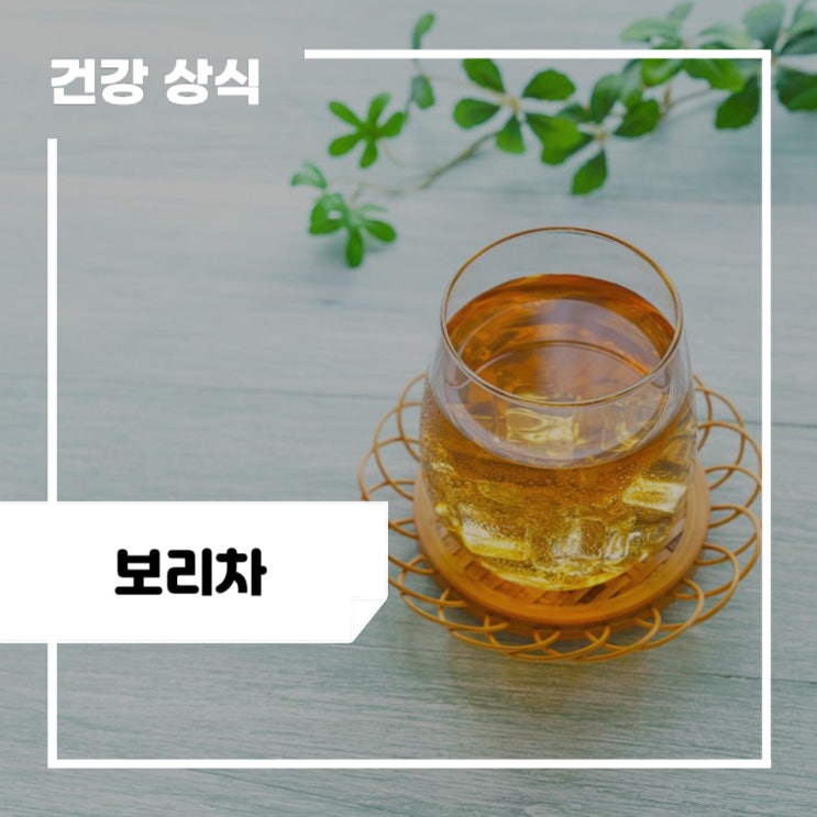 보리차 효능 5가지 부작용 카페인 함량 칼로리 블랙 보리차 티백 네이버 블로그