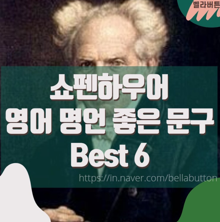 짧은 쇼펜하우어 영어 인생 명언 뼈 때리는 좋은 영어문구 Best 6 : 네이버 블로그