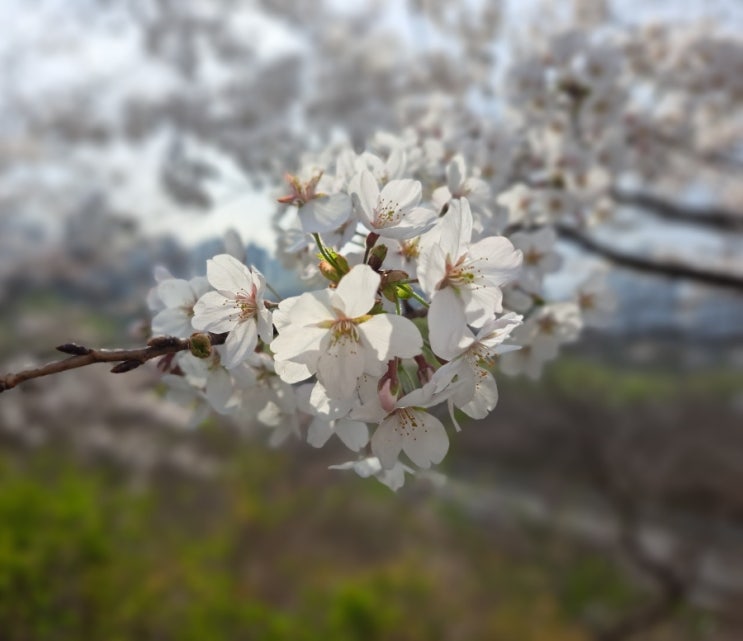 새집증후군 시공 입주 후 거주 중에도 안심하도록 친환경 입주청소도 1박2일 정성을 담아야 부천인천고양일산파주안산