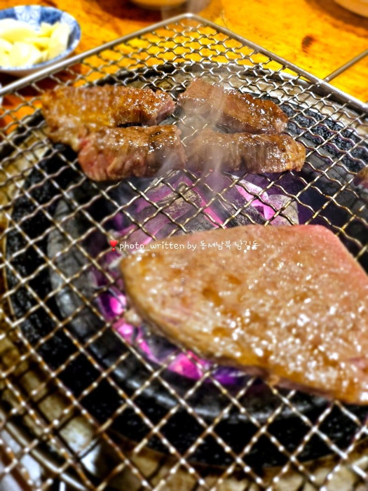 기장 기장 철마 한우 철마한우수목원 네이버 블로그