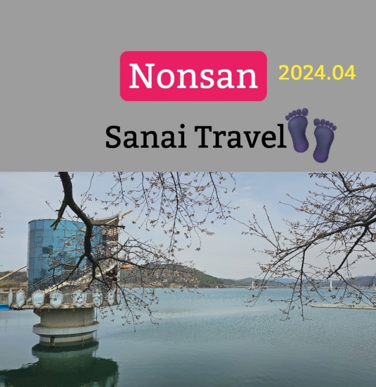 충남 논산 가볼만한곳 벚꽃 명소 탑정호 외 논산 드라이브 코스 음악분수 시간 정보 네이버 블로그