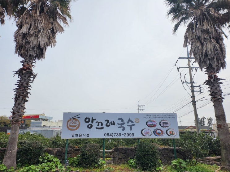 제주 서귀포 고기국수 맛집 추천 앙끄레 국수 서귀포 본점 네이버 블로그