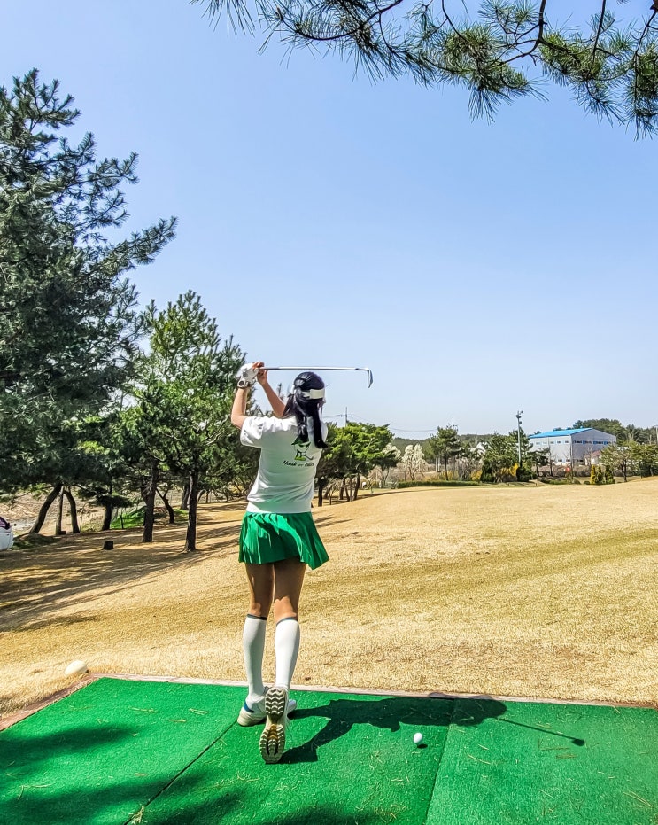 여성 골프채 추천 미즈노 JPX S30 단조 여자 아이언 추천 후기 : 네이버 블로그