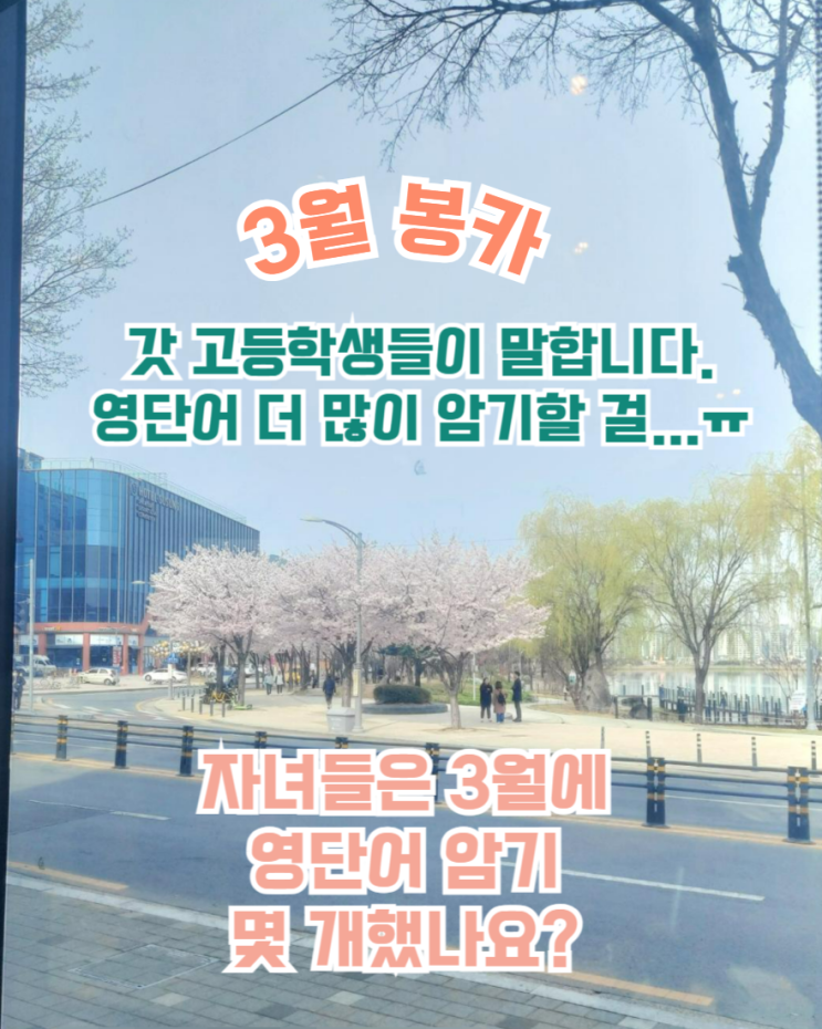 성동초등학교 영어학원 영단어가 고등 내신 1등급의 시크릿 봉태영어학원 네이버 블로그