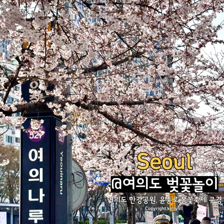 여의도 한강공원 벚꽃놀이 윤중로봄꽃축제 주차 꿀팁 네이버 블로그