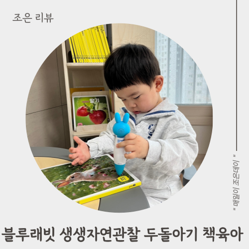 블루래빗 생생자연관찰 두돌아기 책육아 성공 포인트 네이버 블로그