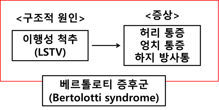 이행성 척추 (LumboSacral Transitional Vertebra, LSTV), 베르톨로티 증후군 (Bertolotti ...