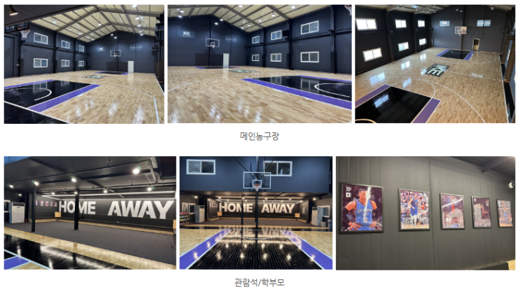 동탄농구 오산농구 화성농구 동탄농구레슨 오산농구레슨 화성농구레슨 원어민 영어농구 성인 왕초보반 신규개설