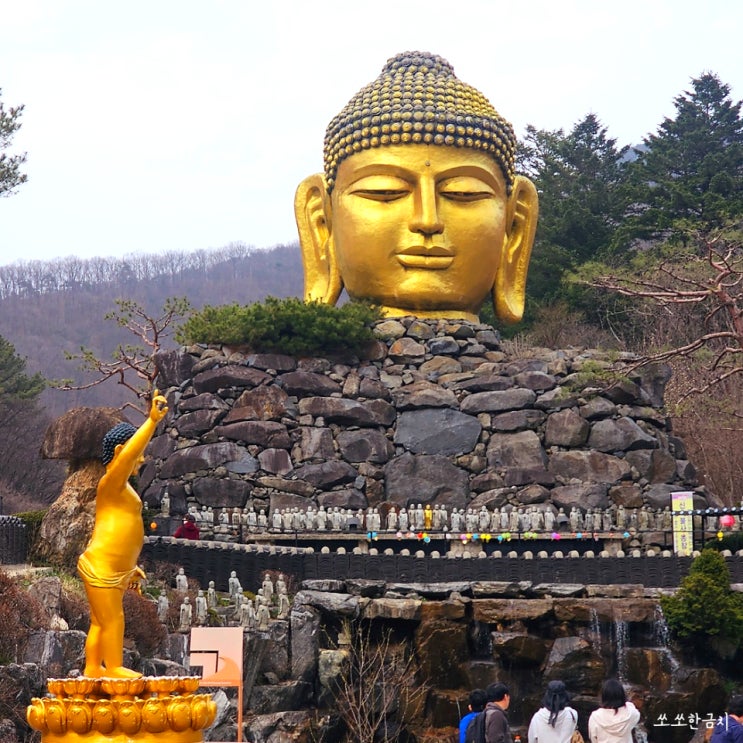 용인 여행지 추천 아이와 가볼만한곳 와우정사 이국적인 사찰 입장료주차 네이버 블로그