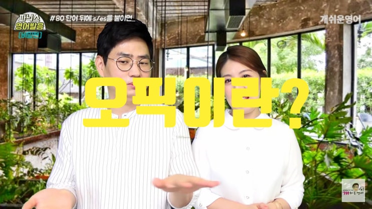 오픽이란? 오픽공부법 준비기간, 서베이, 점수, 시험비, 인강, OPIC 등급 NH, IL, IM, IH, AL 수준 : 네이버 블로그