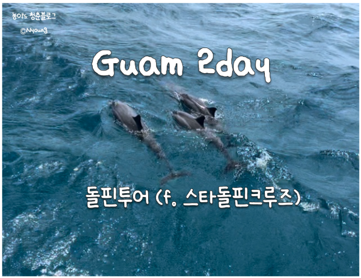 괌 태교여행 6박7일 Day2 19주 임산부의 돌핀크루즈and스노쿨링 낚시 후기 예약방법 가격 후기 준비물 네이버 블로그