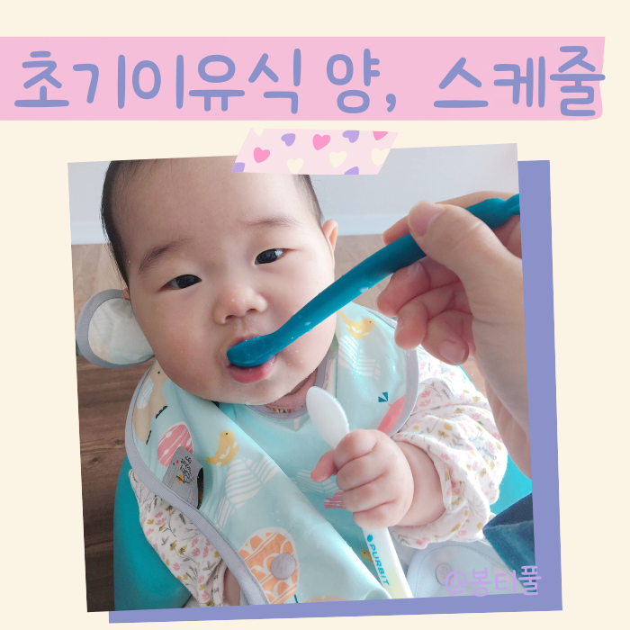 6개월아기 초기이유식 양 분유량 시간 스케줄 네이버 블로그