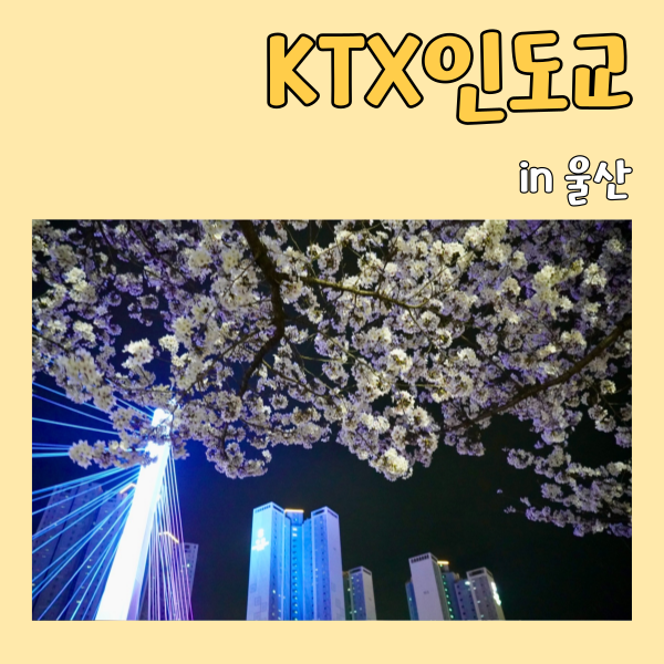 울산 야경 울주 언양 삼남 야간 숨은 벚꽃 명소 가볼만한곳 네이버 블로그