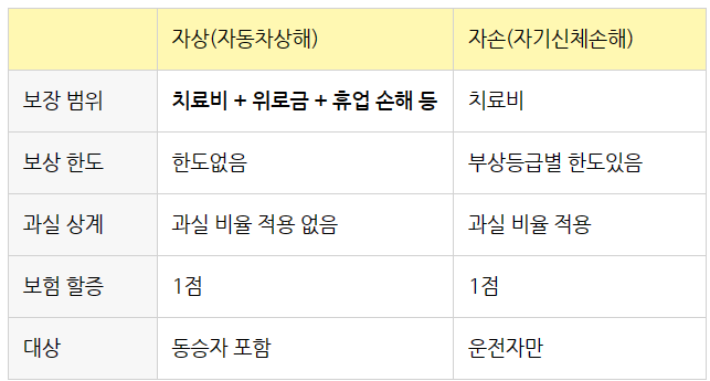 병원 자동차 사고 할증 기준 점수 자상자동차상해 Vs 자기신체손해자손 차이점 건강보험으로 자동차 사고