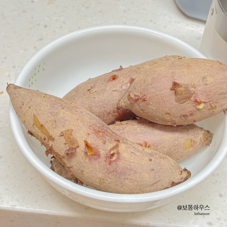 고구마 모종 심는시기 고구마 수확시기 캐는시기 키우기 방법 네이버 블로그