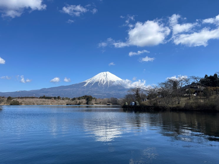 2024년 겨울과 봄 사이 시즈오카 혼자여행(#3) : 네이버 블로그