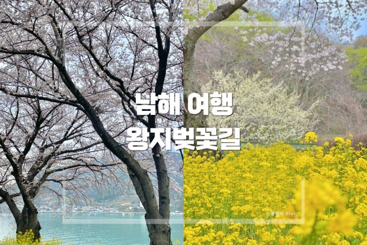 남해바다가 보이는 왕지벚꽃길 평일 방문 후기가는법 주차 사진 팁 네이버 블로그