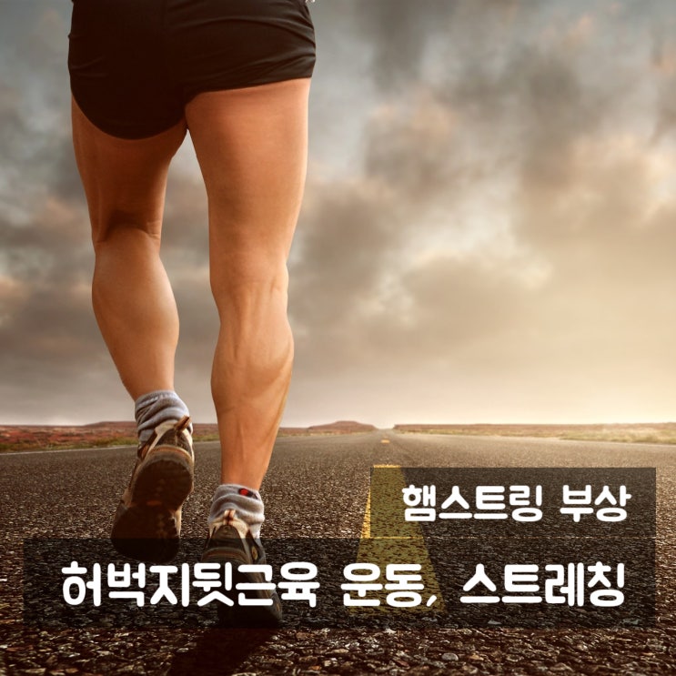 운동 중 햄스트링부상 허벅지 뒷근육 햄스트링 스트레칭 네이버 블로그