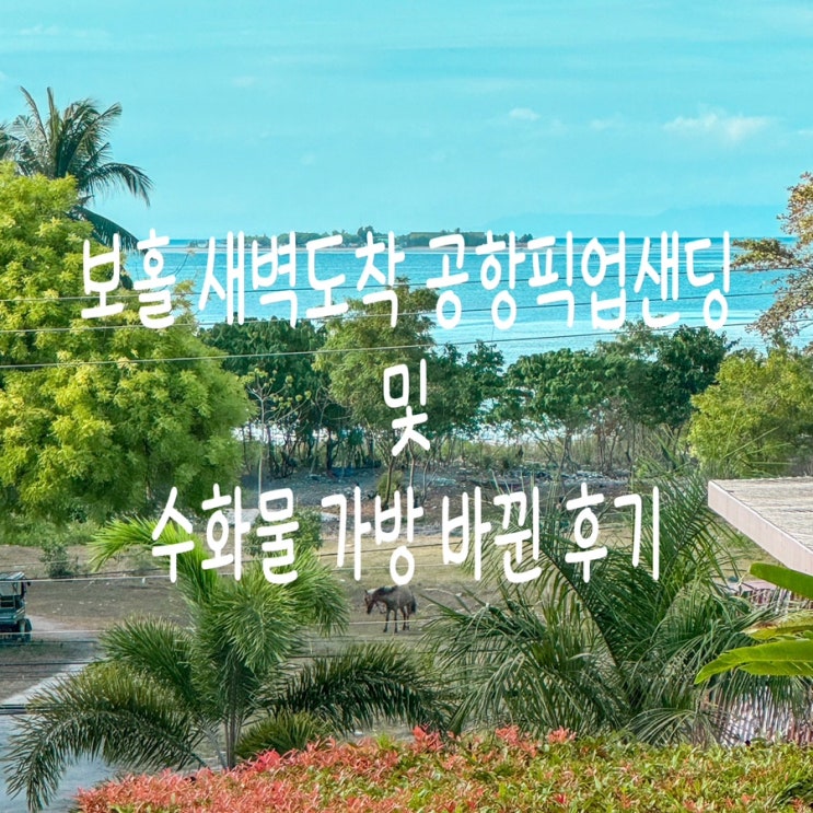 보홀 가족여행 새벽도착 픽업샌딩 이용 후기 및 공항에서 수화물 가방 바뀐 후기 네이버 블로그