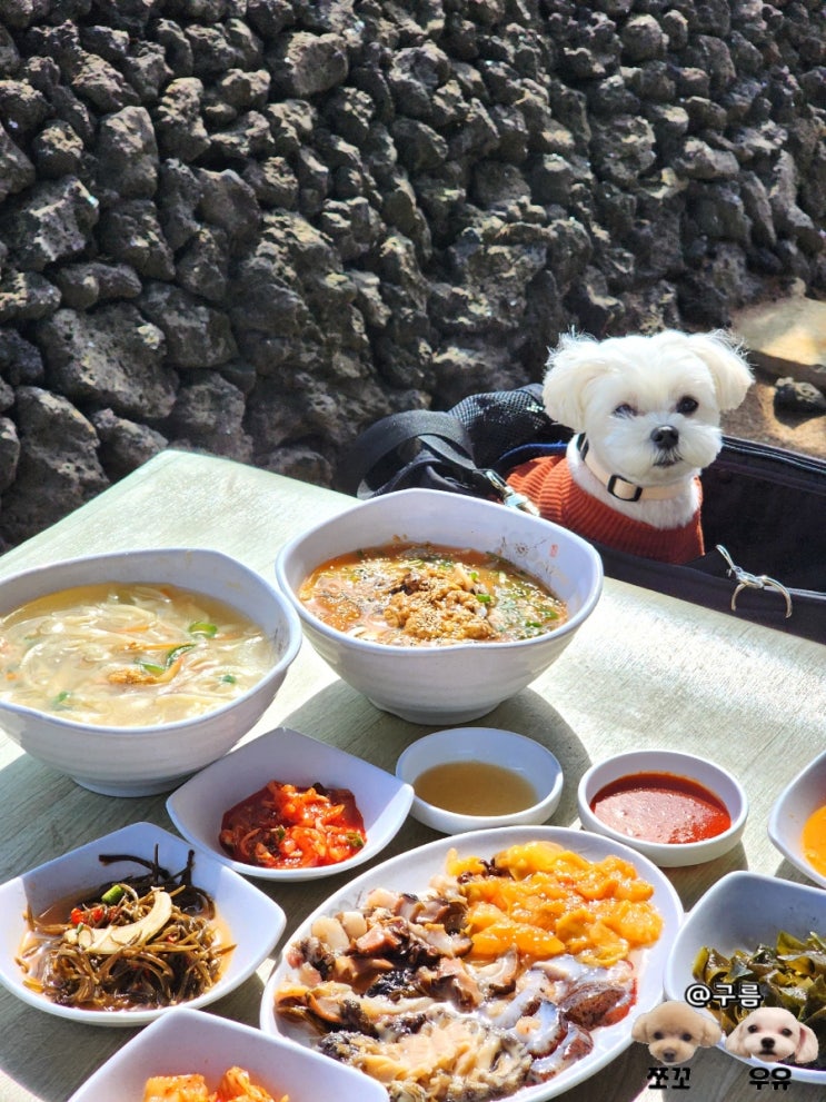 제주 서귀포 애견동반식당 역대급 뷰 제주시 가성비 맛집으로 최고 네이버 블로그