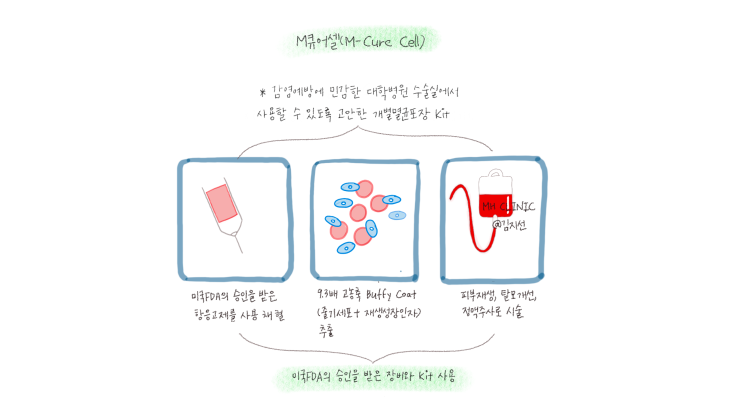 M큐어셀(M-Cure Cell), 1년 이상 준비한 Premium 줄기세포 시술로 피부 장벽 강화, 콜라겐 재생, 피부 면역력 ...