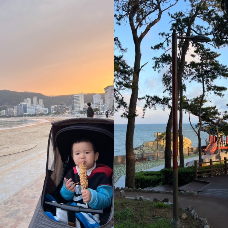 부산 송정 놀거리 가볼만한곳 송정해수욕장 서핑 죽도공원 산책 바다 추천 네이버 블로그
