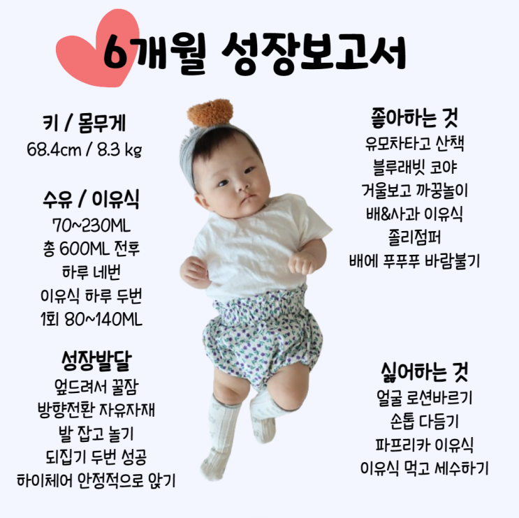 7 육아일기 6개월 아기 이유식 수유량 수면시간 장난감 발달과정 예방접종 네이버 블로그