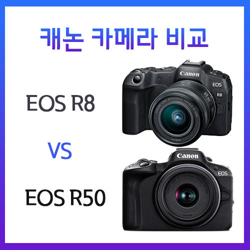 캐논 EOS R8 vs EOS R50 비교 : 네이버 블로그
