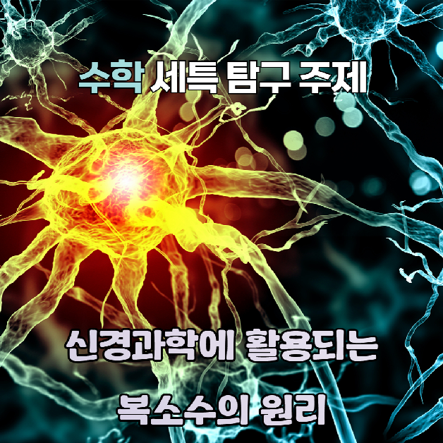 의학 생명 수학 세특 탐구 주제 신경과학에 활용되는 복소수의 원리 네이버 블로그