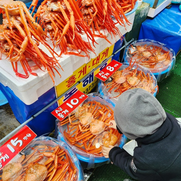 주문진 어민수산시장 아이와 함께 홍게 후기 네이버 블로그