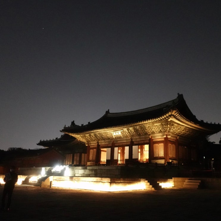 서울 종로 창경궁 야간개장 봄 나들이 가기 네이버 블로그