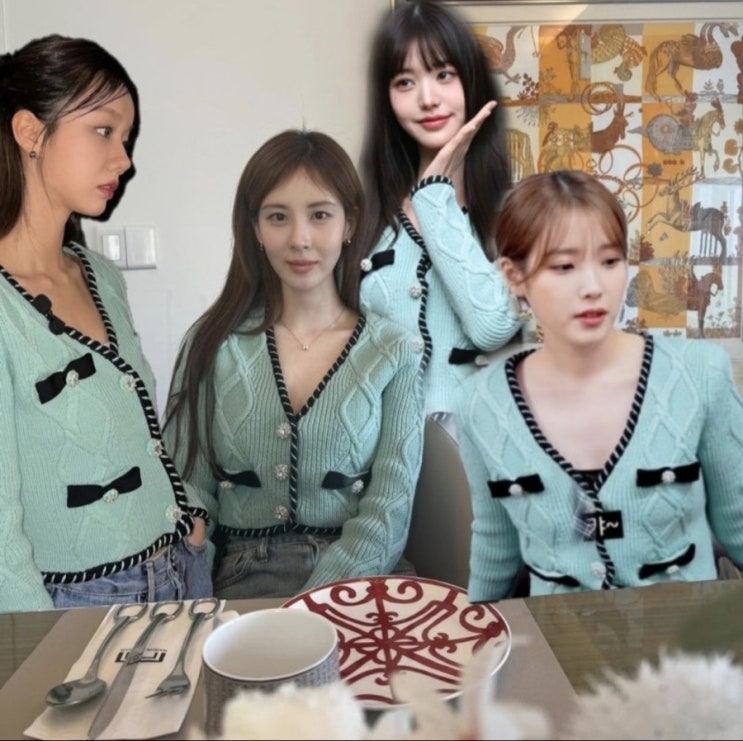셀프 포트레이트 브랜드 가디건 얼마혜리 아이유 서현 김유정 장원영 권나라 착용 네이버 블로그