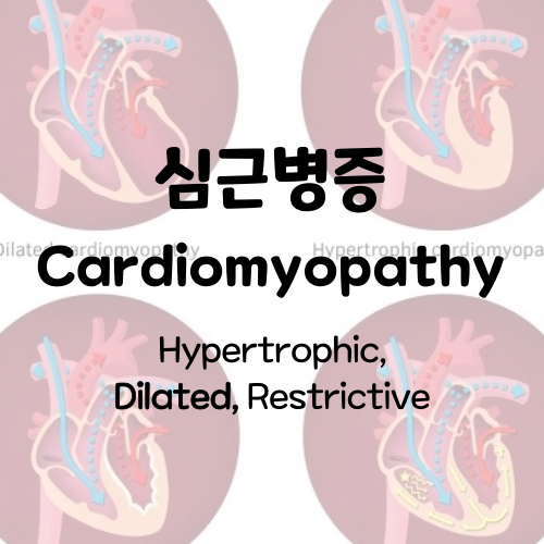 심근병증 Cardiomyopathy, CMP (Hypertrophic vs Dilated vs Restrictive) : 네이버 블로그