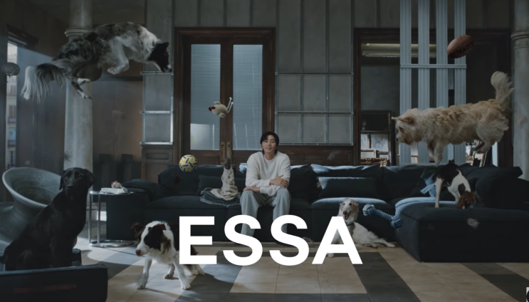 기능성 패브릭소파 에싸 TVCF 댕댕이 키우는 집 꼭 볼 것! : 네이버 블로그