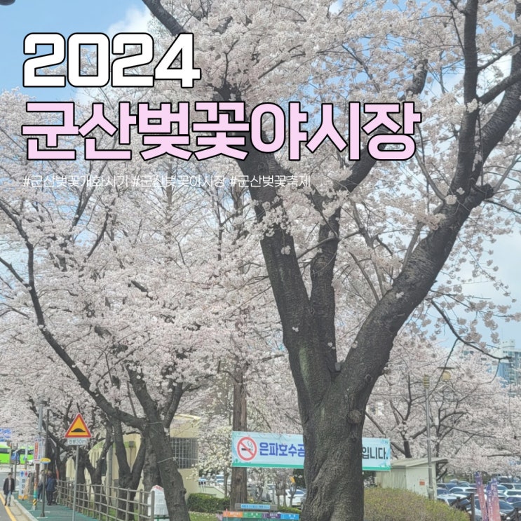 2024 군산 벚꽃 개화시기 은파호수공원 은파유원지 벚꽃축제 벚꽃야시장 실시간 네이버 블로그