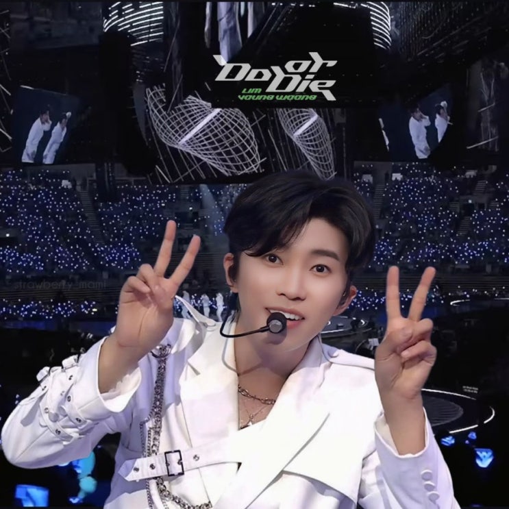 임영웅 [Do or Die] Live Clip. 2023 IMHERO CONCERT 다시보기 : 네이버 블로그